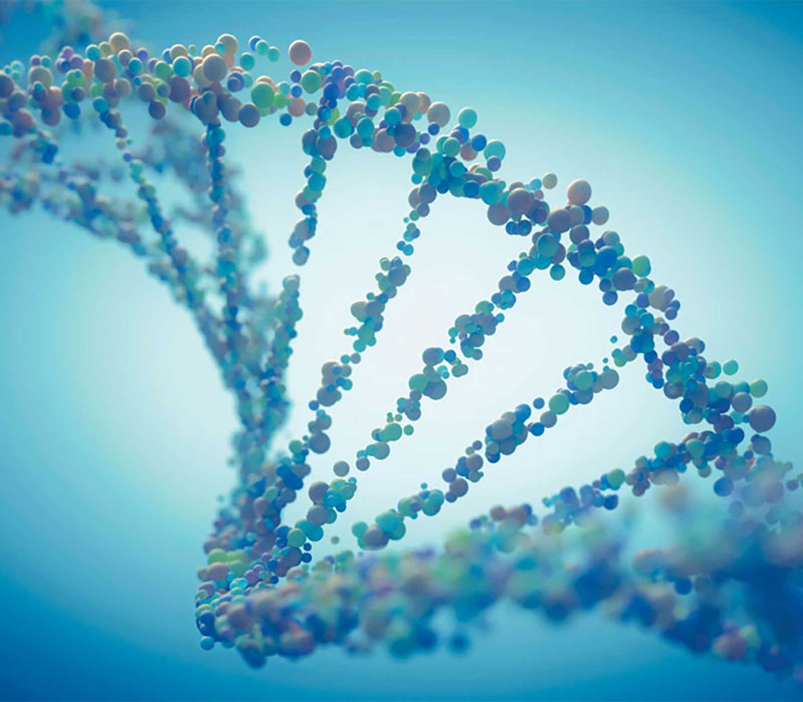 Basic Research - Enzo