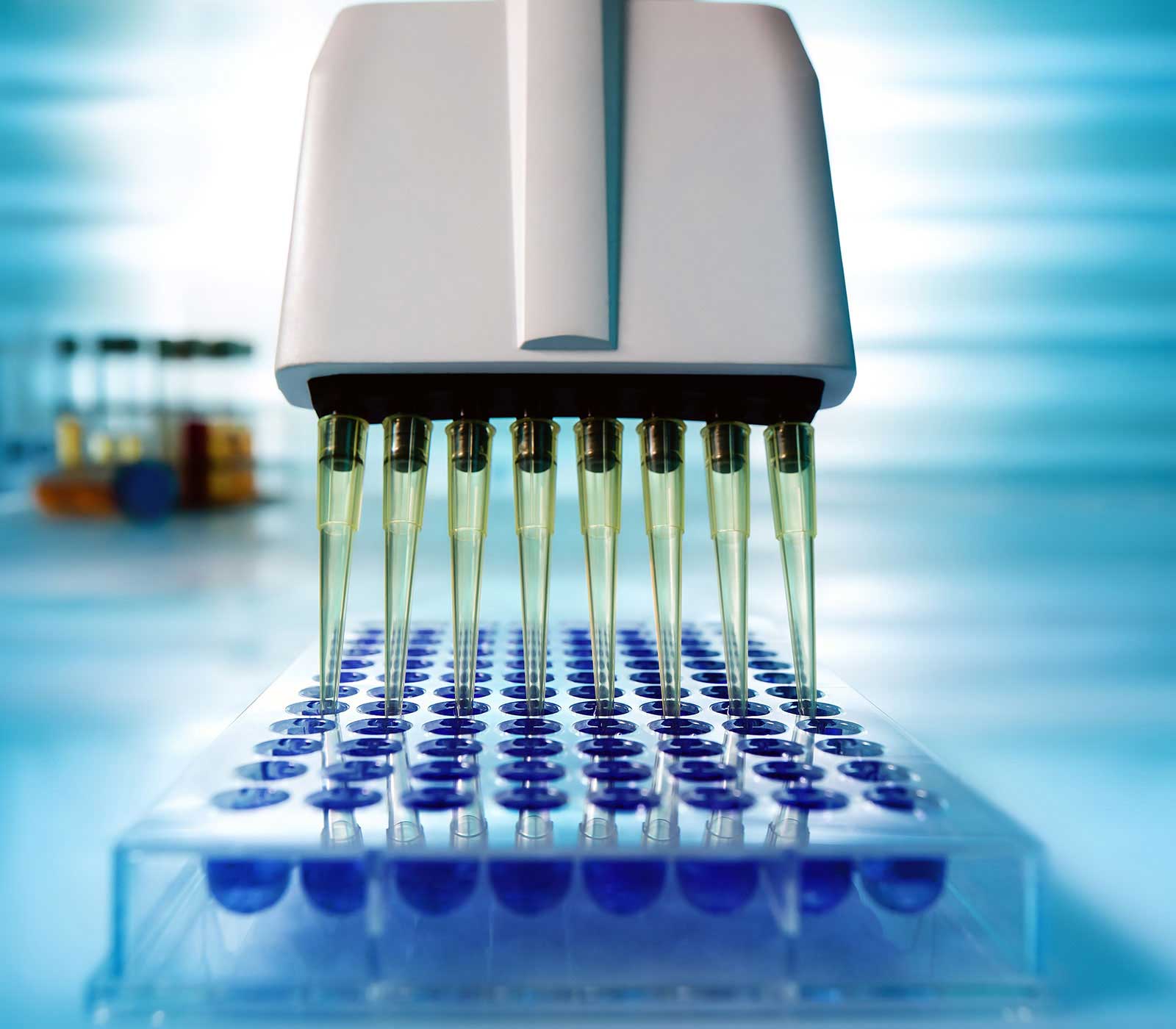 ELISA Immunoassays - Enzo