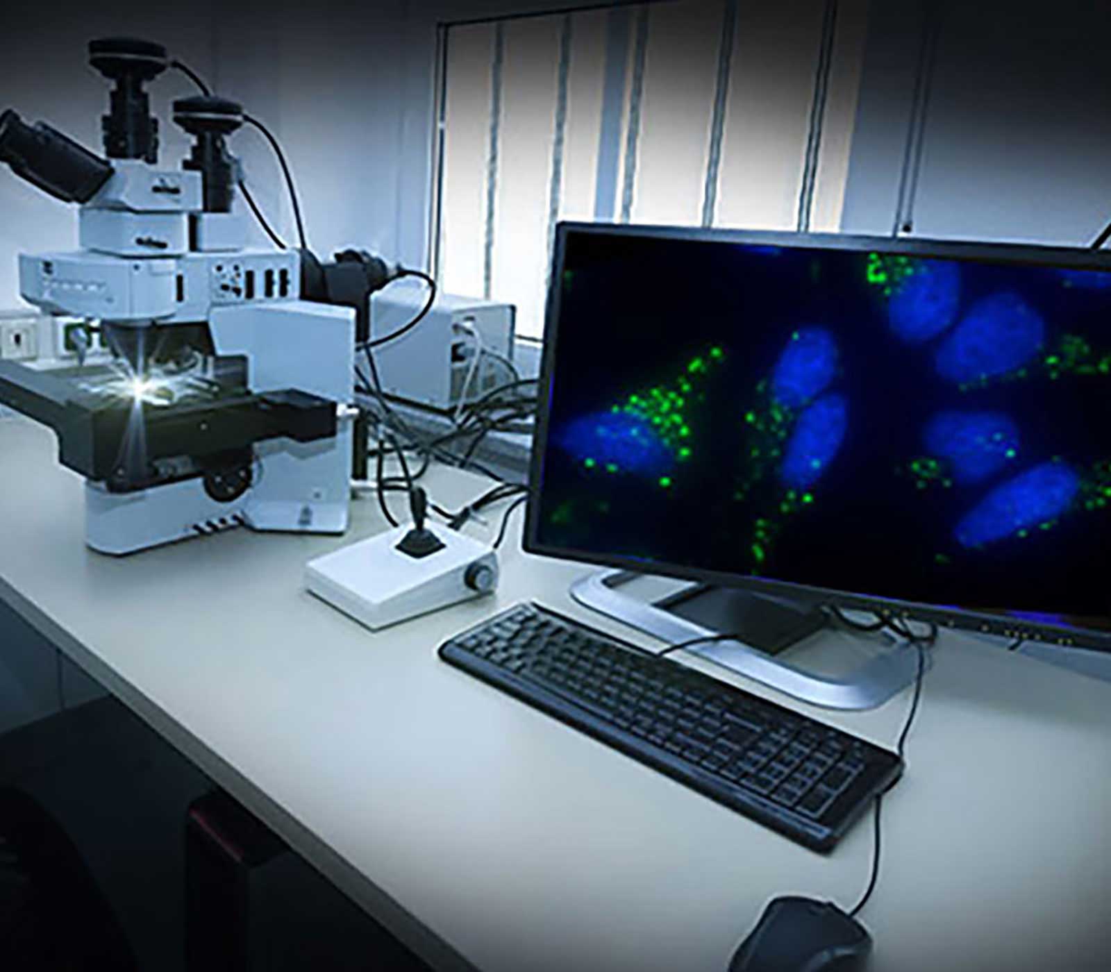 Inquire for Contract Services - Enzo