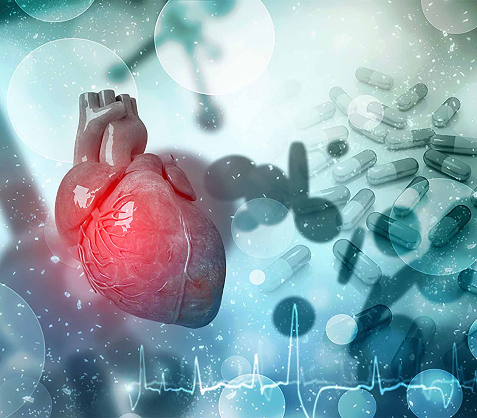 Cardiotoxic drugs and mechanisms of cardiotoxicity - Enzo