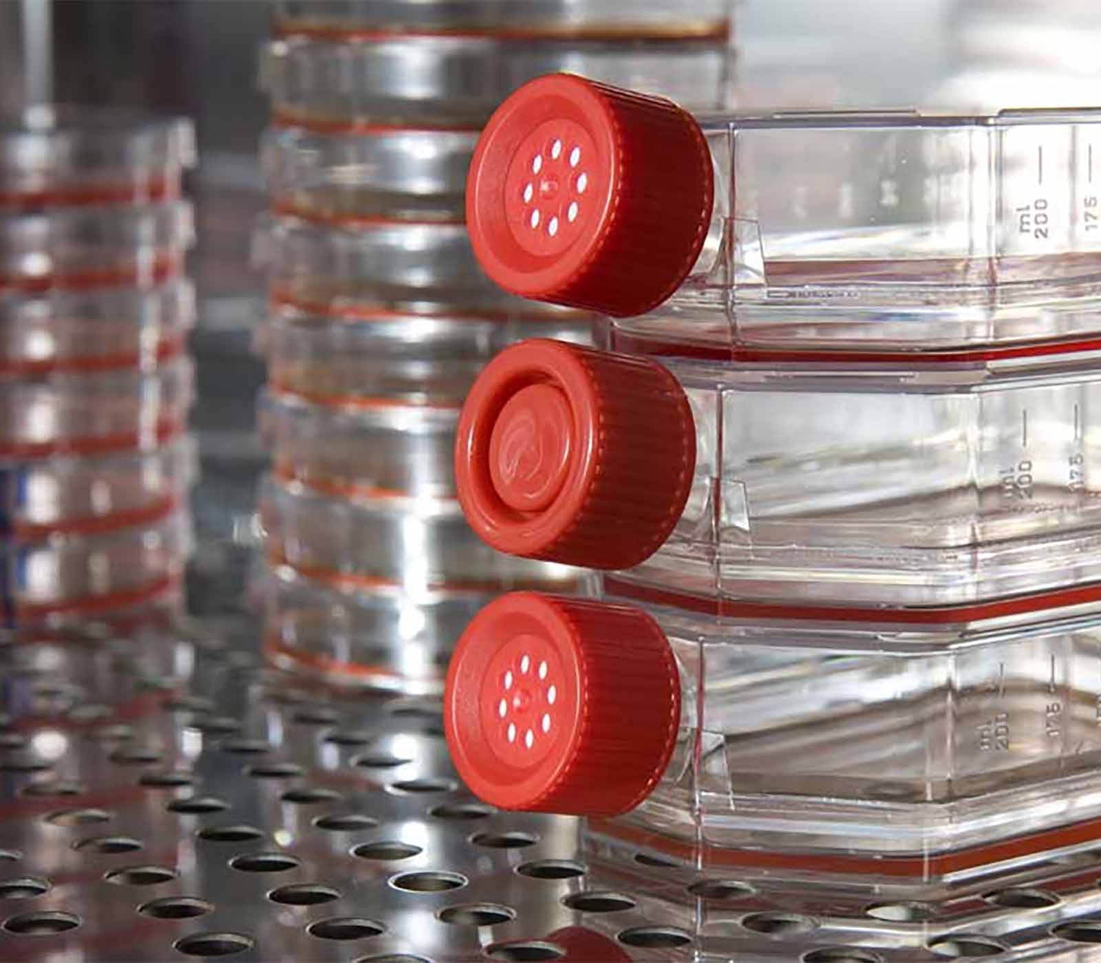 10 Tips for Happy Cells - Enzo