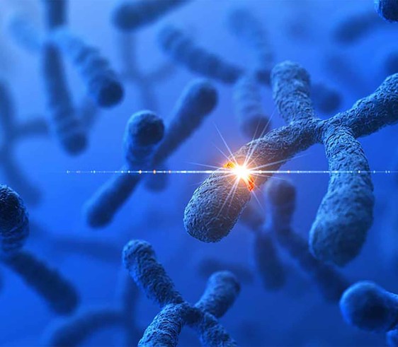 Genomic Analysis - Enzo