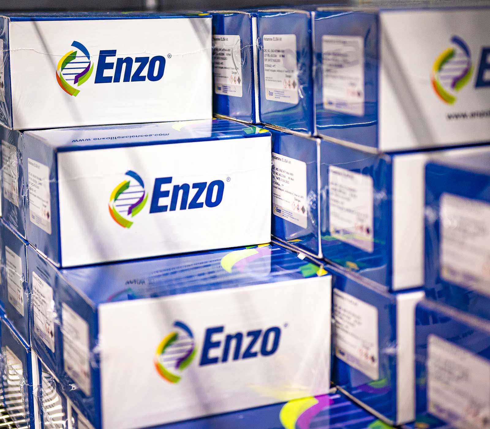 Quick Order - Enzo