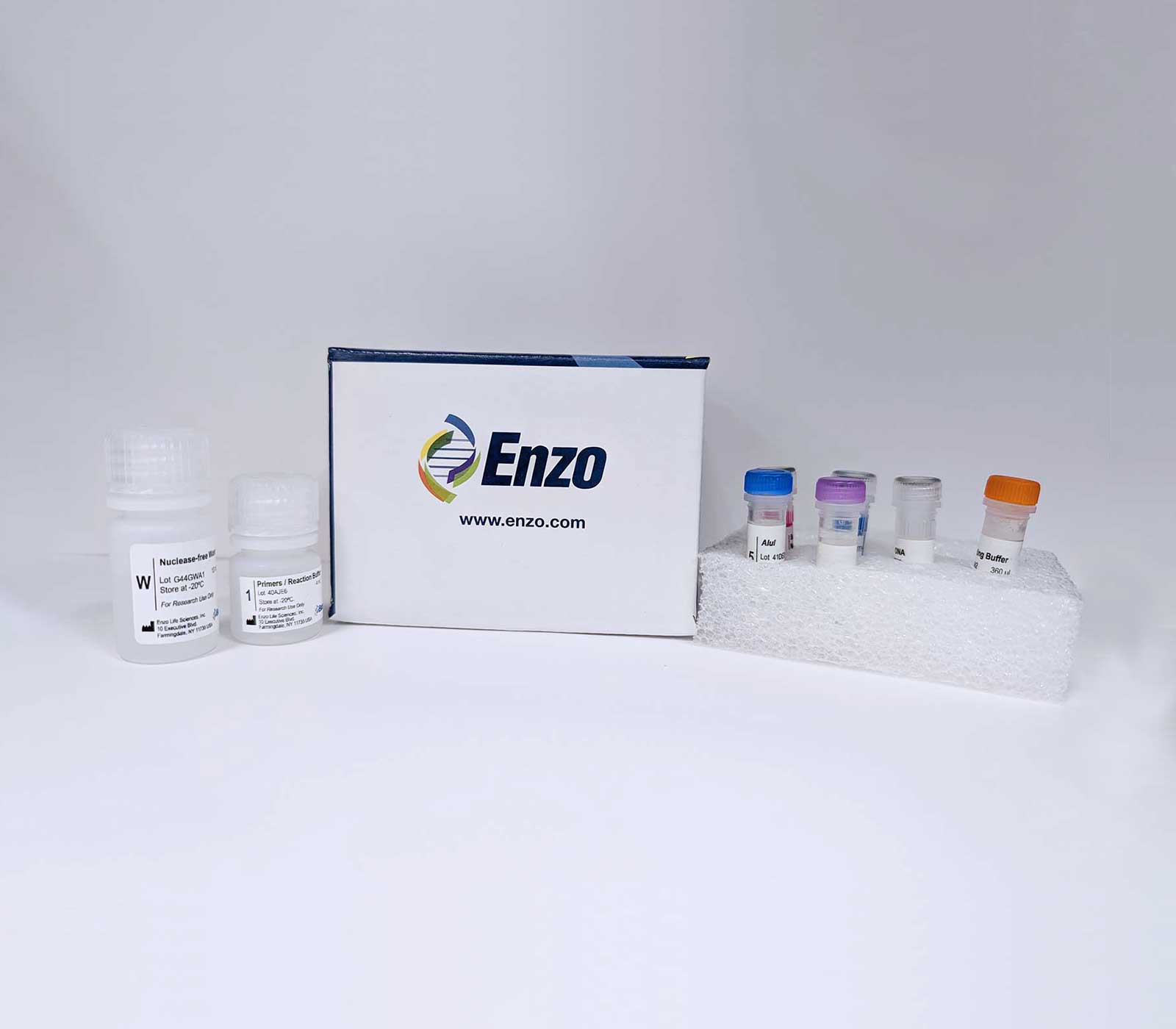 Enzo Launches CYTAG® SuperCGH + SNP Labeling Kit for Enhanced ...