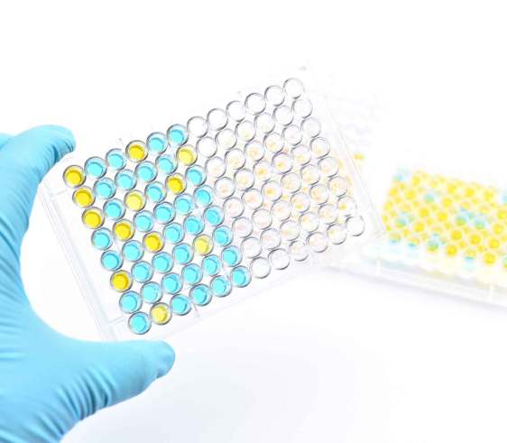 How to Validate Sample Dilutions and Achieve Linearity in New Sample ...