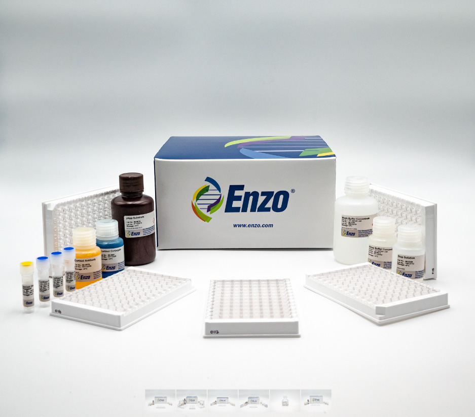 Cortisol ELISA kit - Enzo