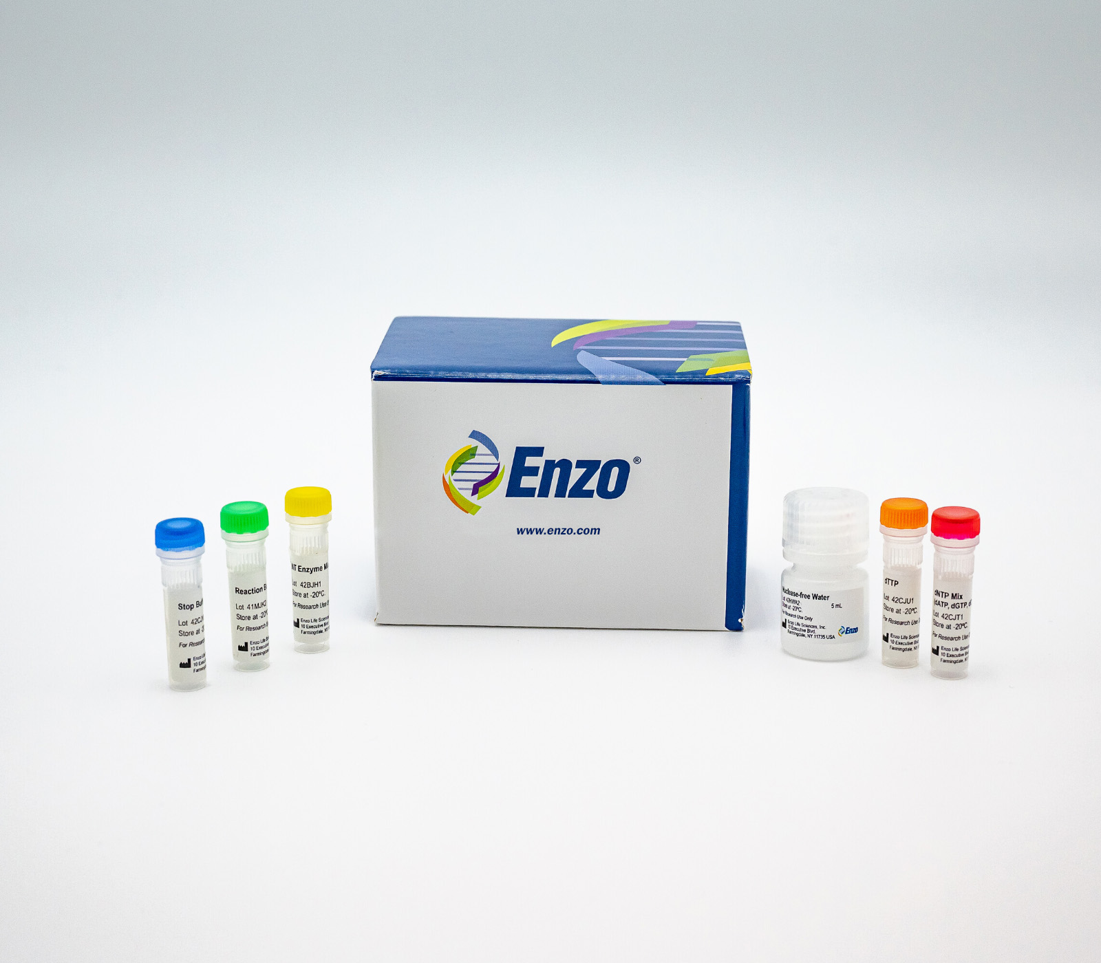 FISH Testing in Cancer - Enzo