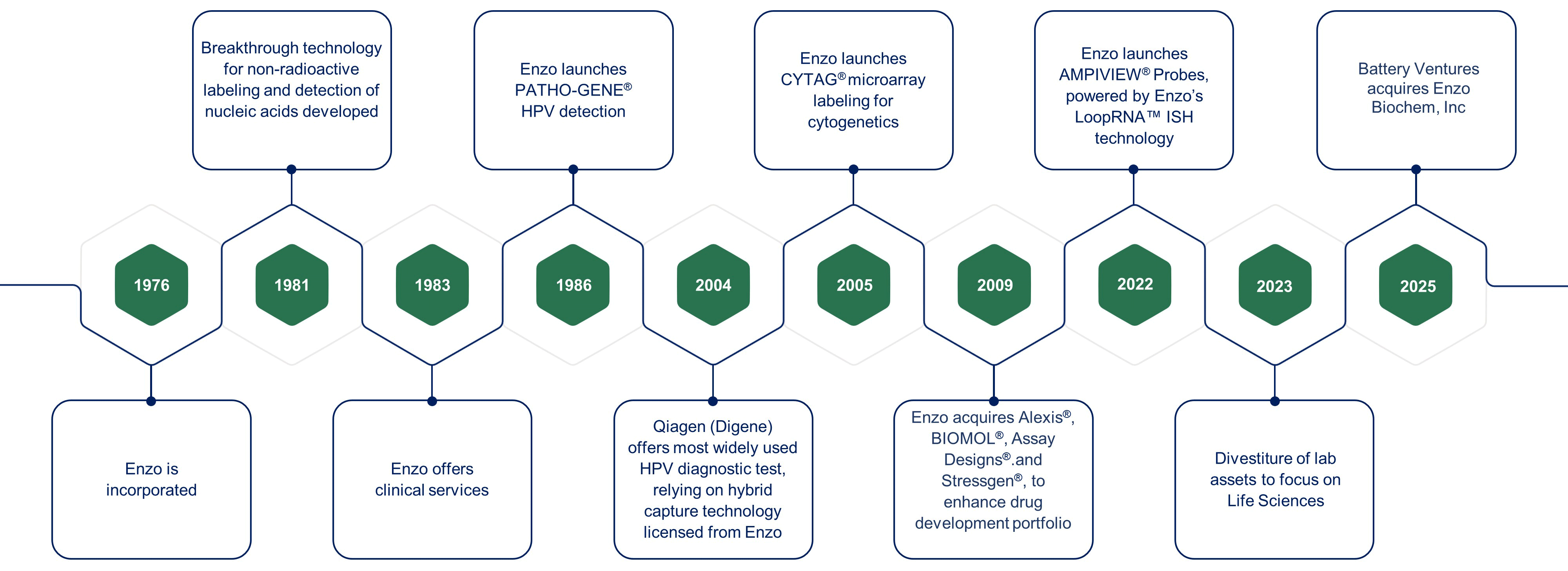 About Enzo - Enzo